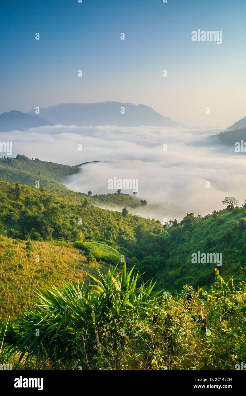 Ocean Of Mist Stock Photo - Alamy