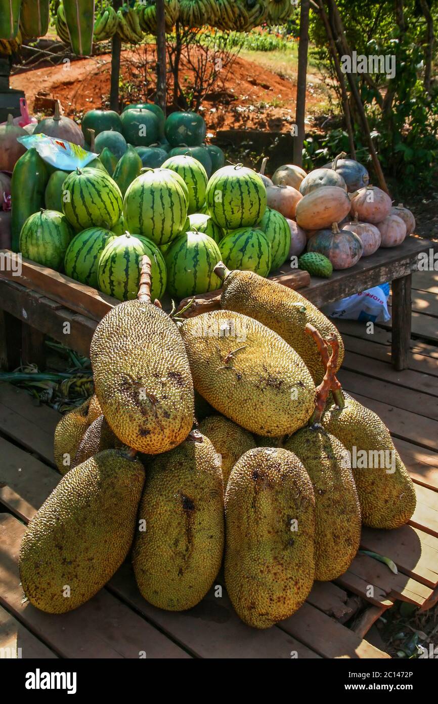Thorn melon hi-res stock photography and images - Alamy