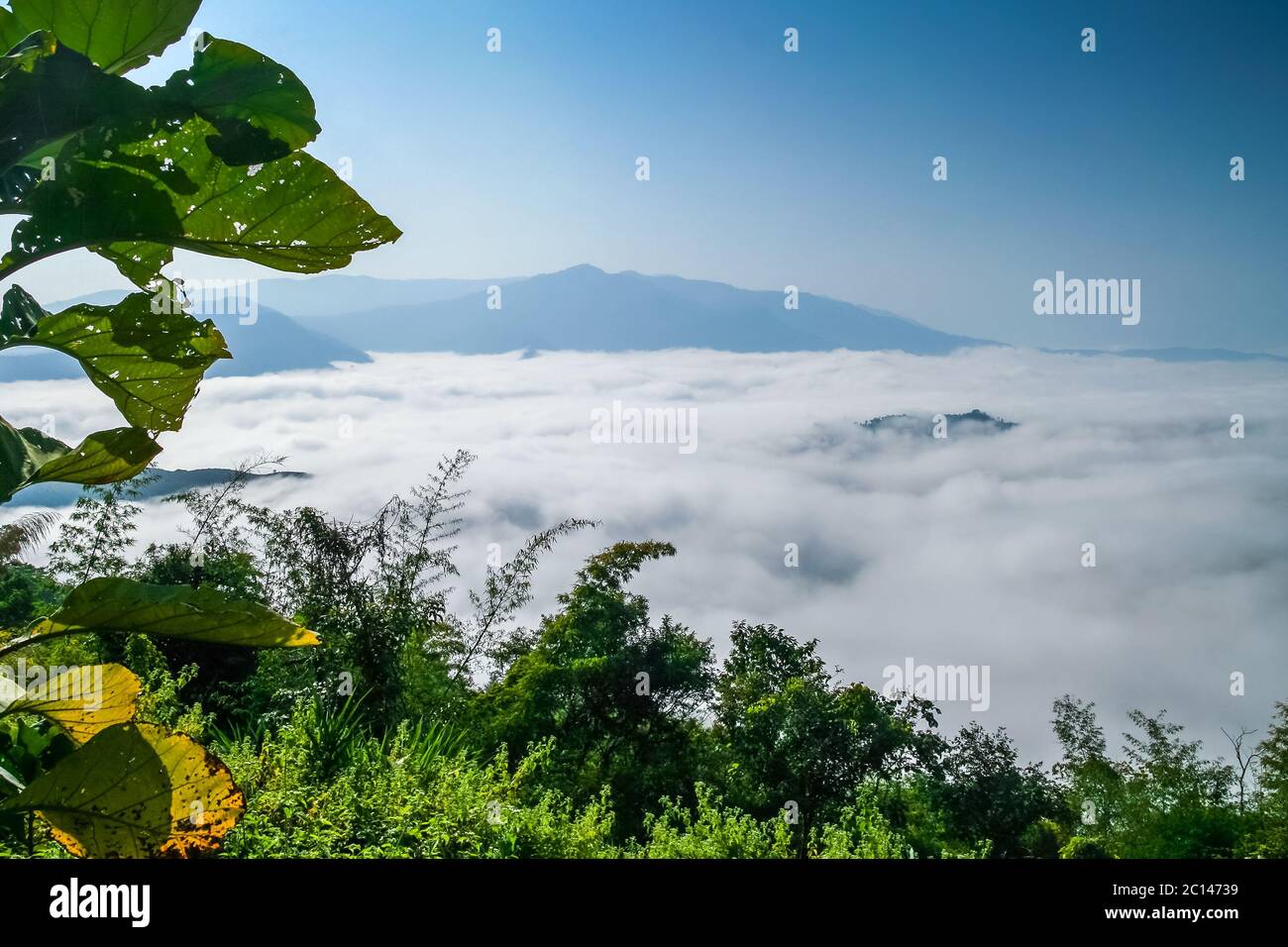 Ocean Of Mist Stock Photo - Alamy