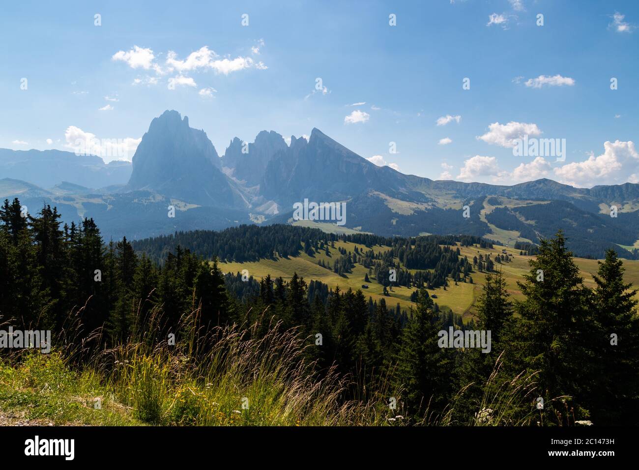 Mountain panoramas from the Alpe di Siusi, Trentino Alto Adige, Italy ...