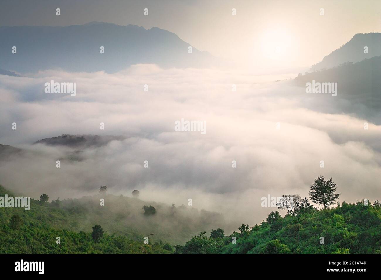 Ocean Of Mist Stock Photo - Alamy