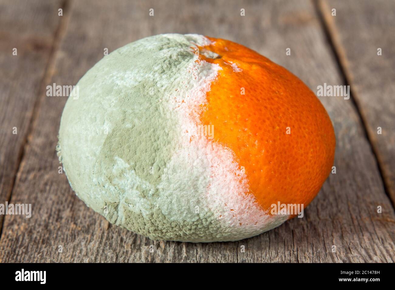 Moldy Mandarin High Resolution Stock Photography and Images - Alamy