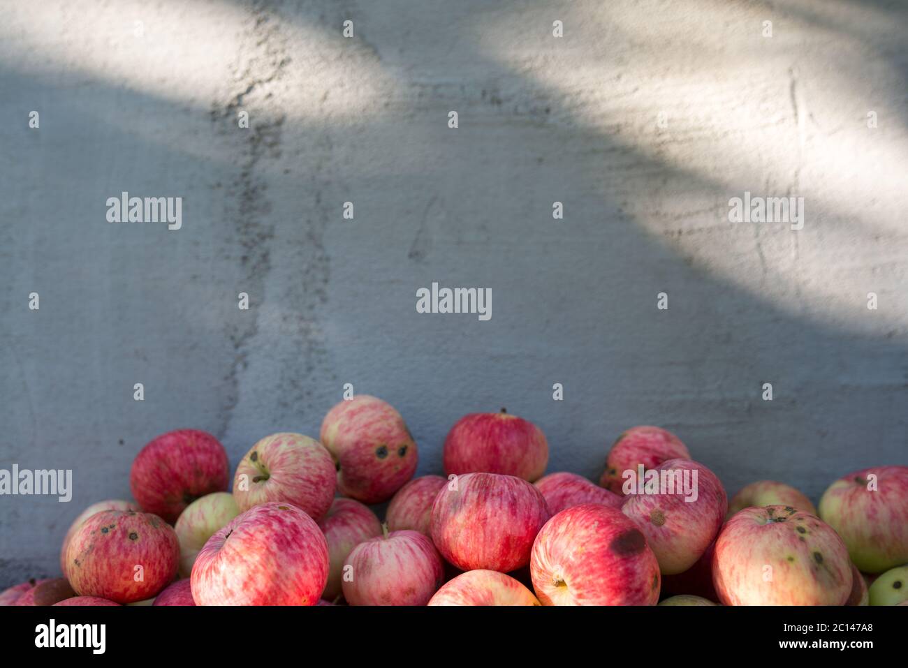 Pile of ripe red apples over gray rought cement wall background with ...