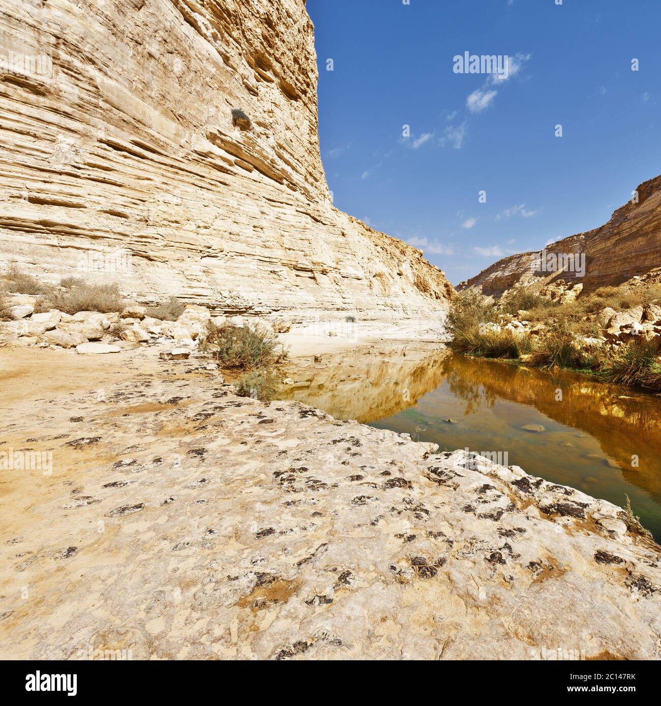 Canyon in Israel Stock Photo - Alamy
