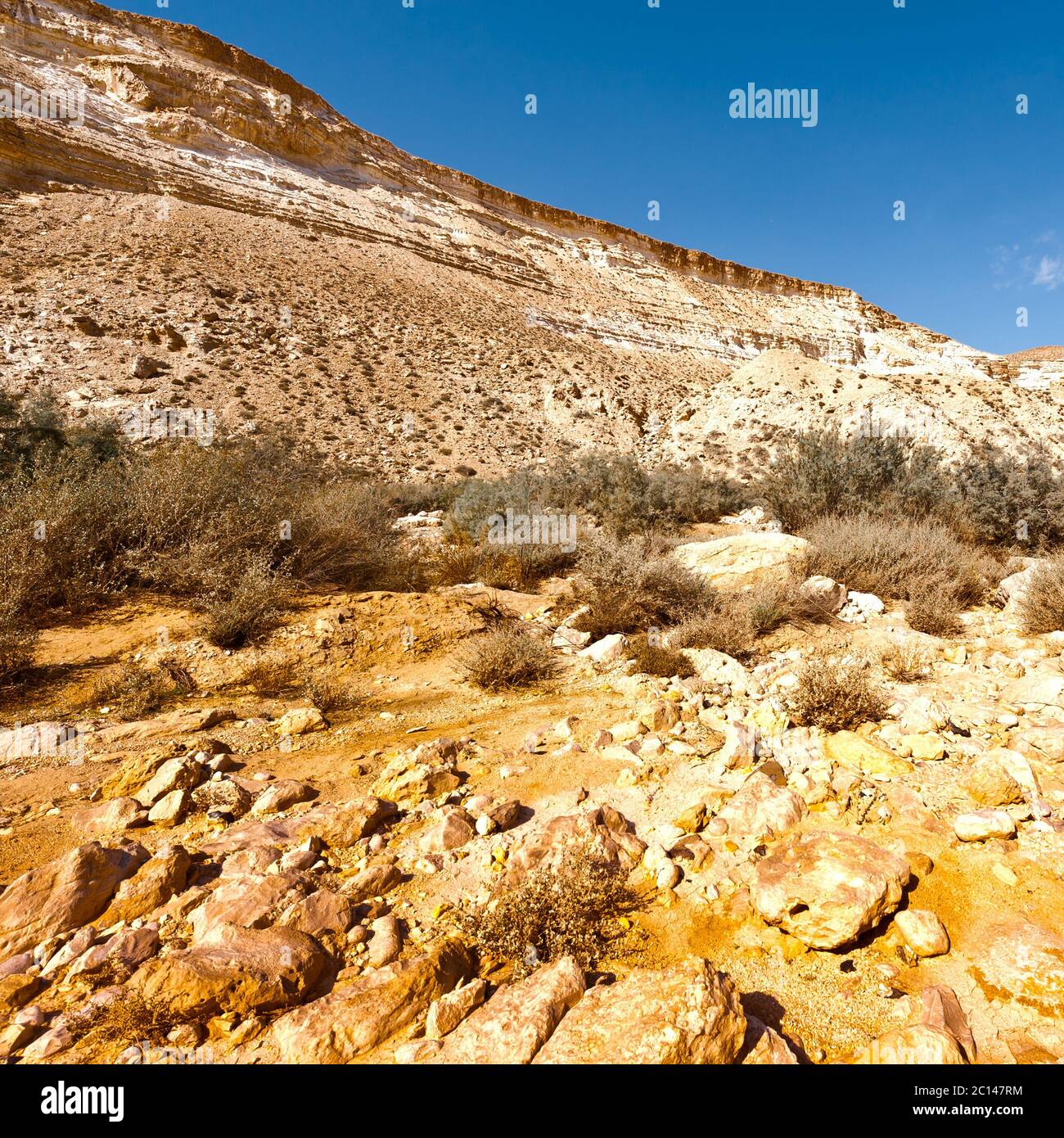 Desert in Israel Stock Photo - Alamy