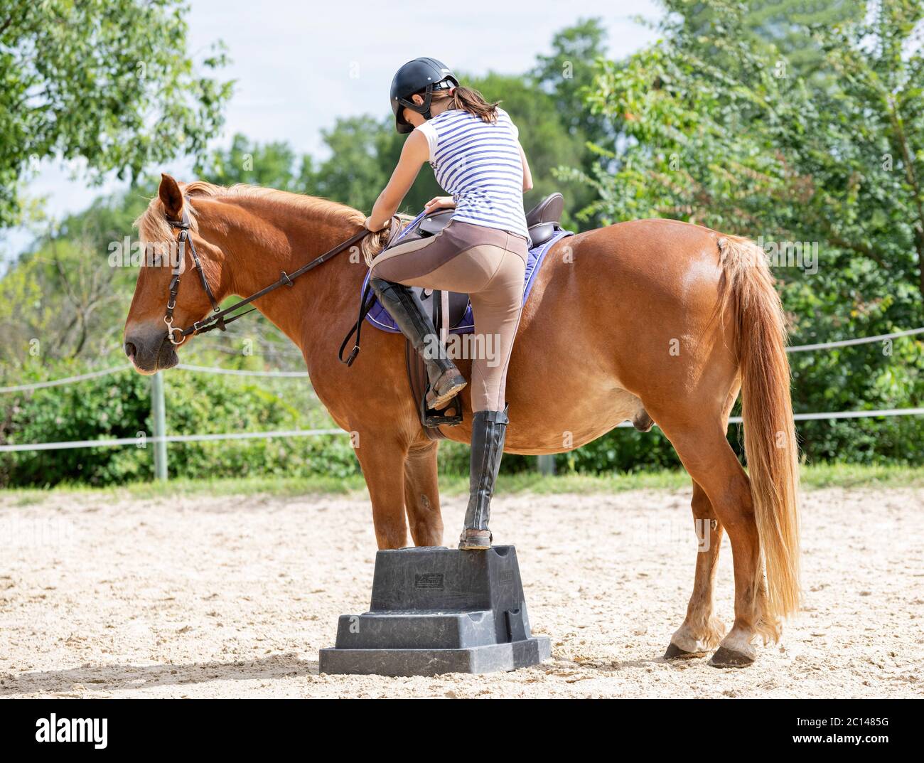 riding girl are training her horse in equestrian center Stock Photo - Alamy