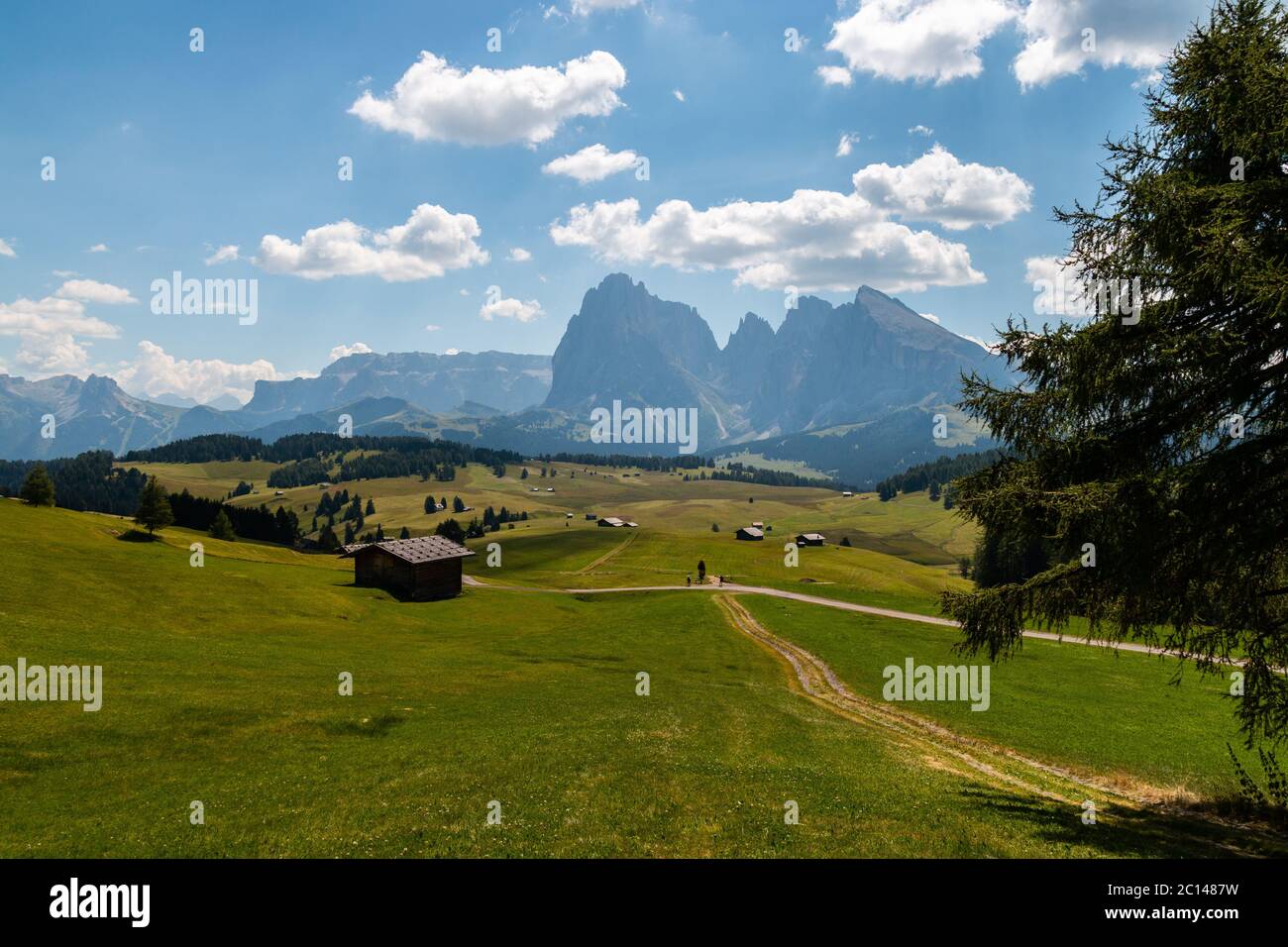 Mountain panoramas from the Alpe di Siusi, Trentino Alto Adige, Italy ...