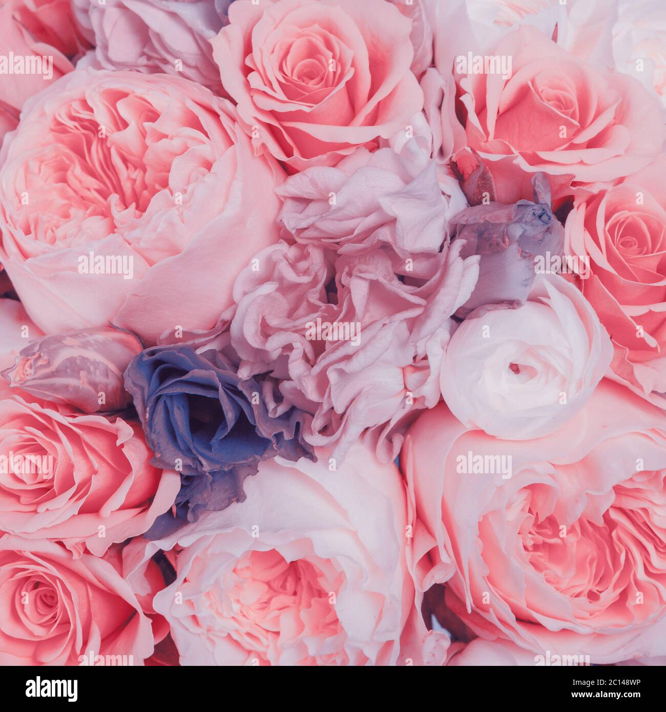 Abstract background of flowers. Faded color tone Stock Photo - Alamy