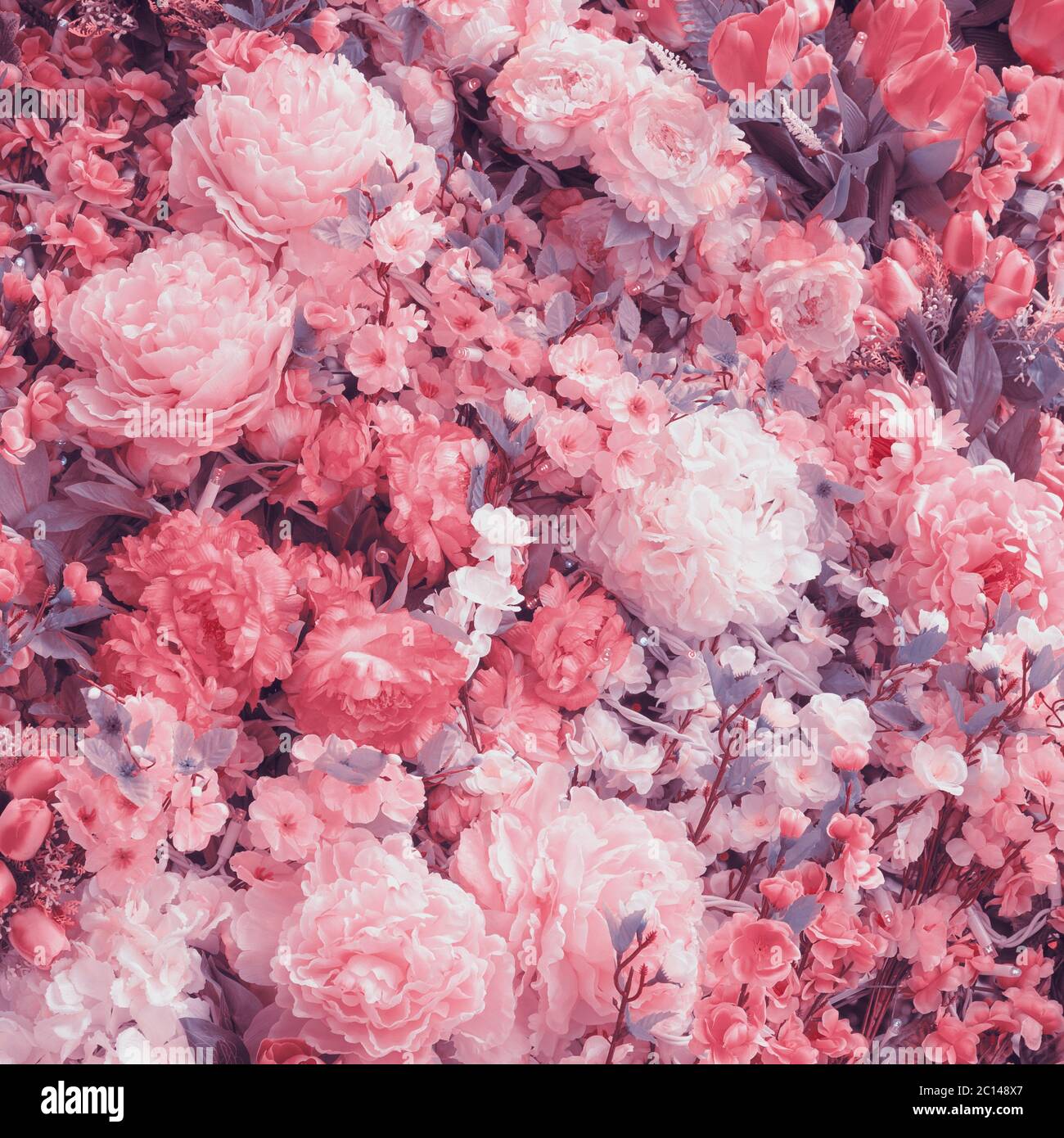 Abstract background of flowers. Faded color tone Stock Photo - Alamy
