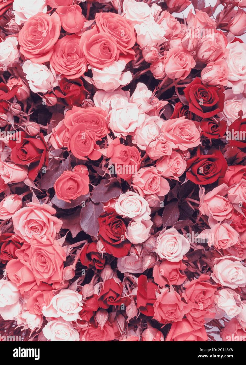 Abstract background of flowers. Faded color tone Stock Photo - Alamy