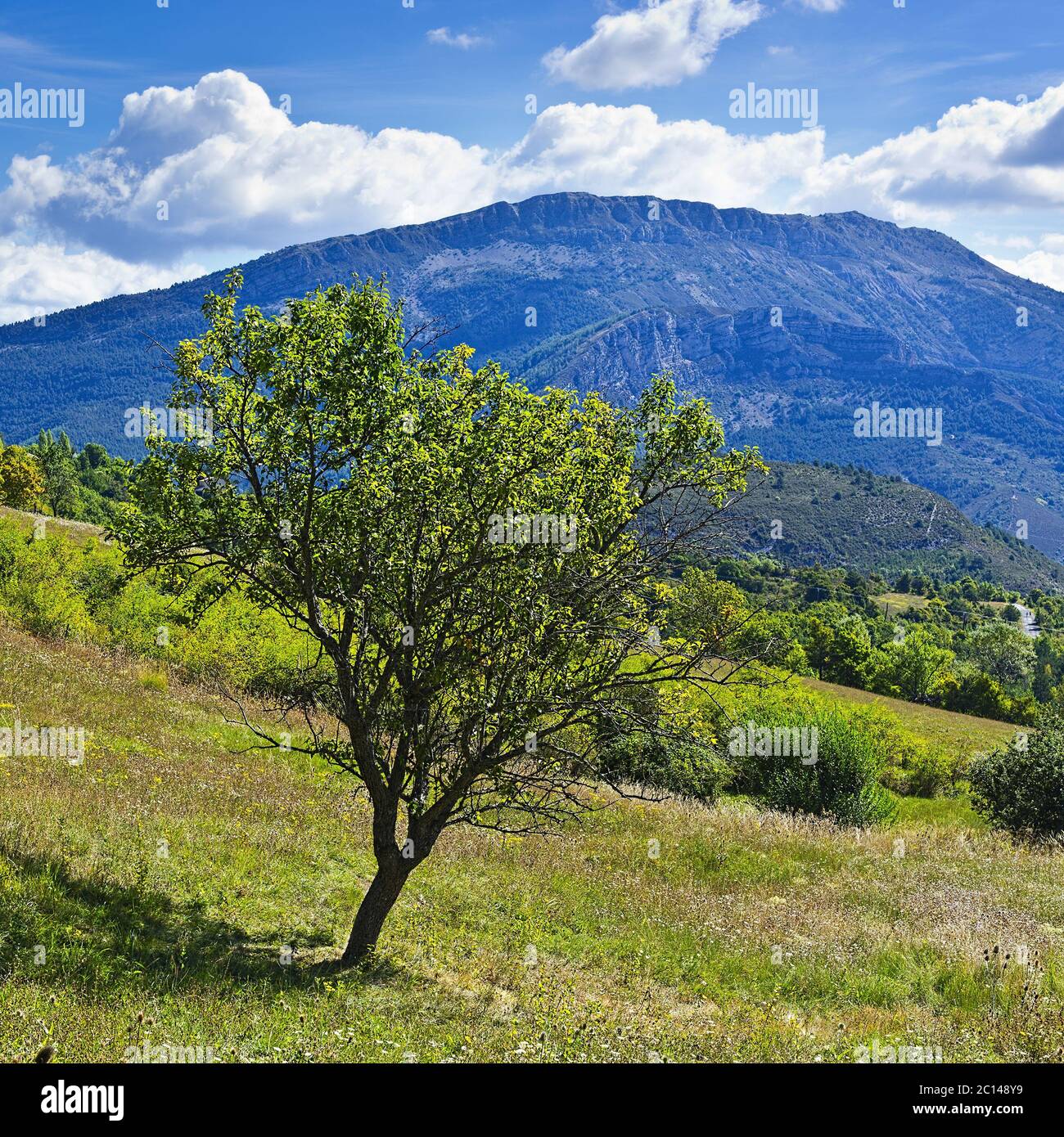 French pastoral hi-res stock photography and images - Alamy