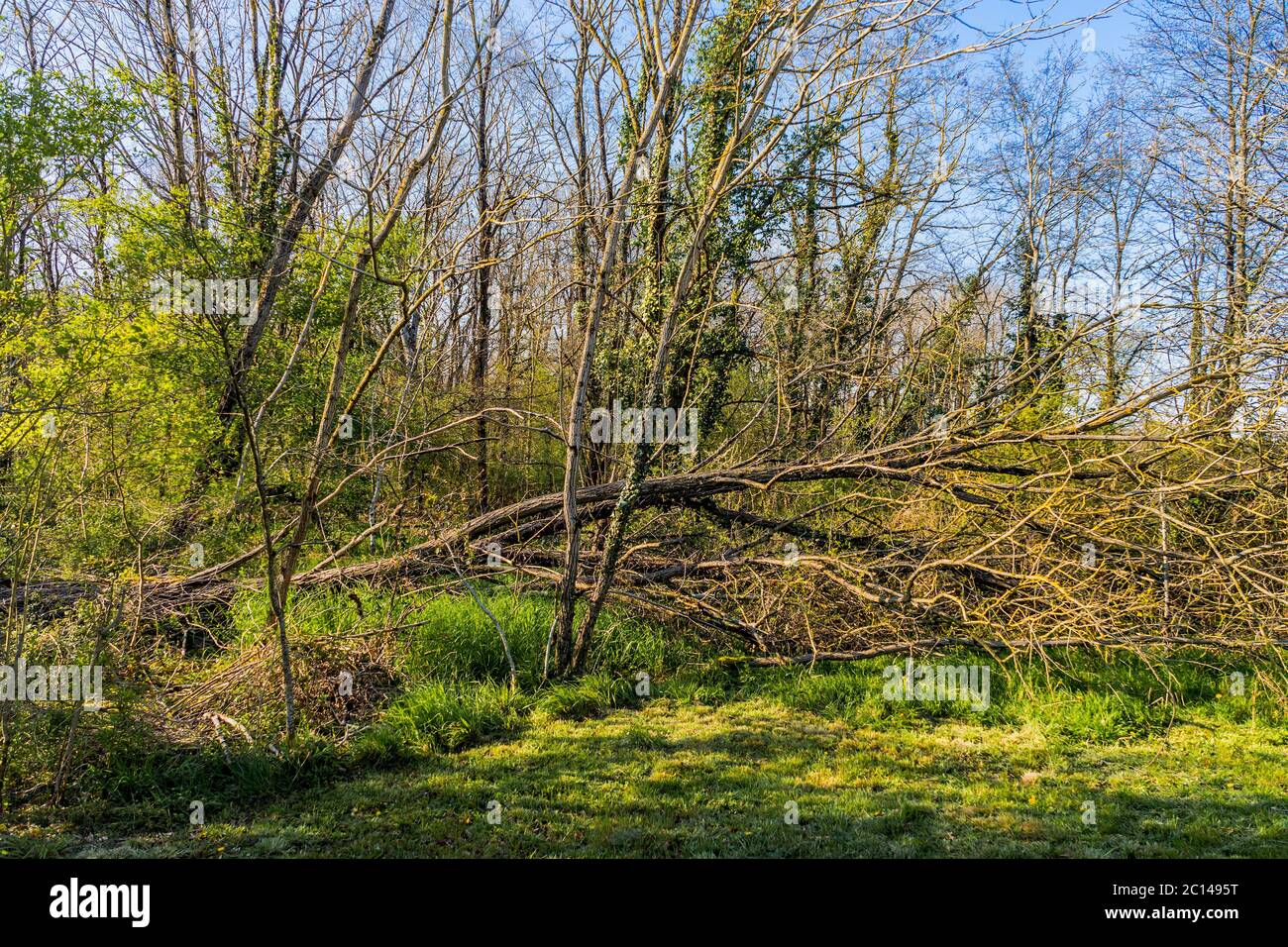 Poorly Managed High Resolution Stock Photography and Images - Alamy