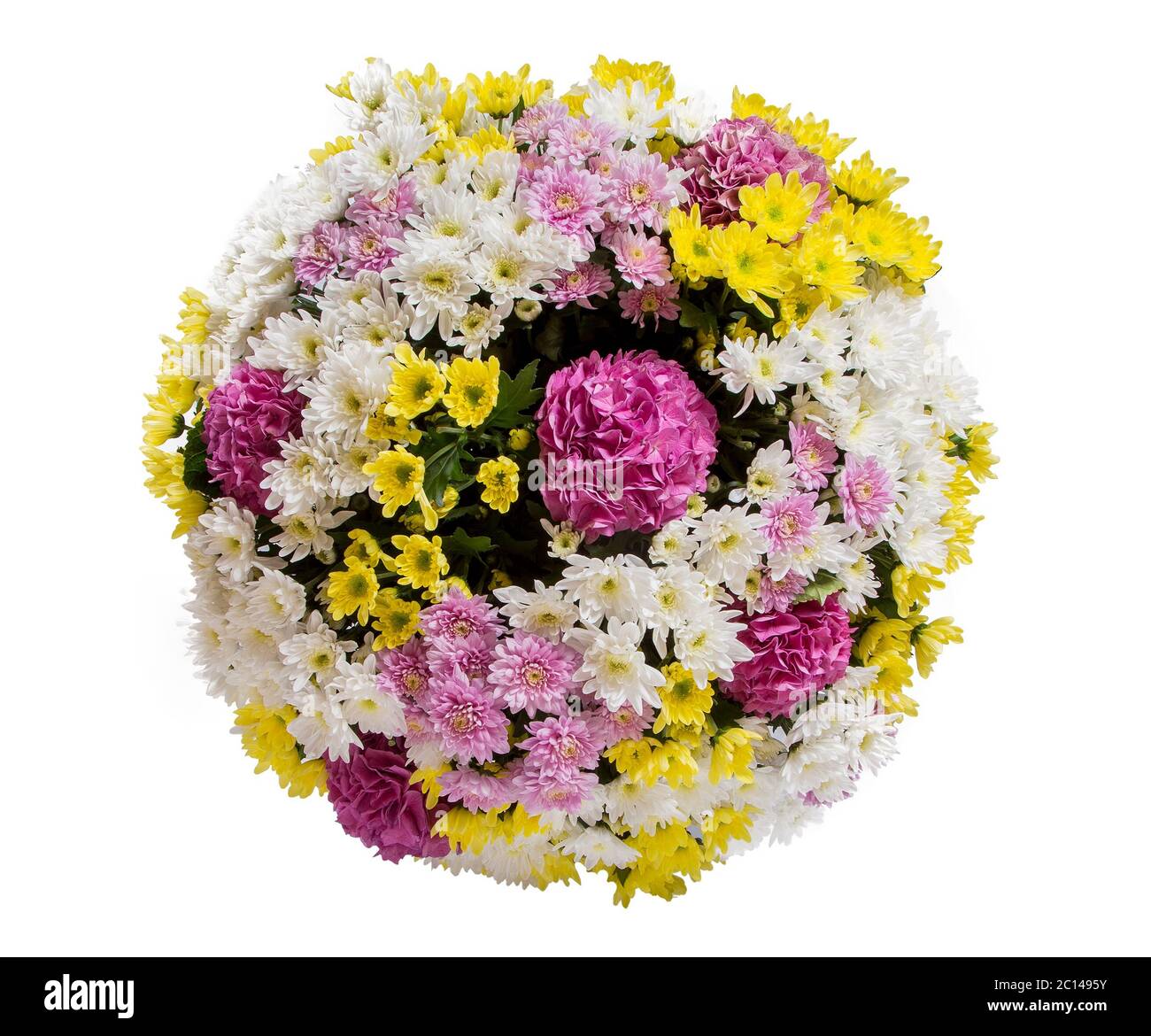 Top view white moth Cut Out Stock Images & Pictures - Alamy