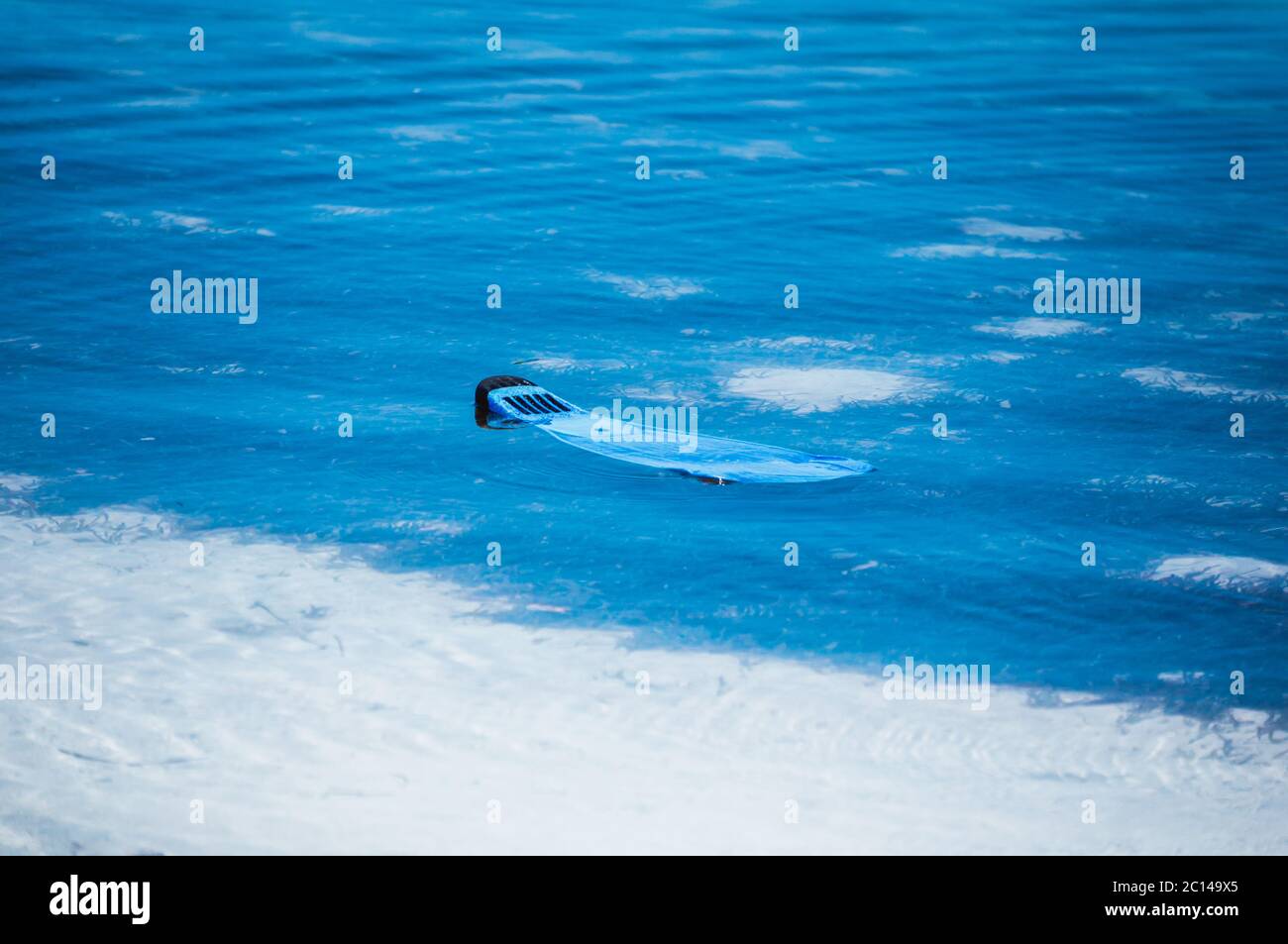 Single blue flipper floating on the blue clear water Stock Photo - Alamy
