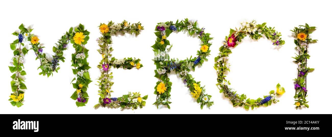 Flower And Blossom Letter Building Word Merci Means Thank You Stock ...