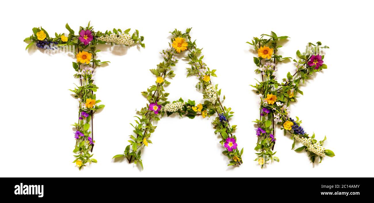 Flower And Blossom Letter Building Word Tak Means Thank You Stock Photo ...