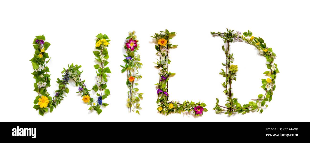 Flower And Blossom Letter Building Word Wild Stock Photo - Alamy