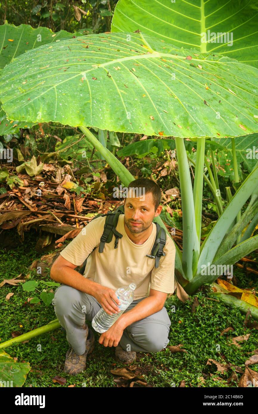 Under the giant leaf Stock Photo - Alamy