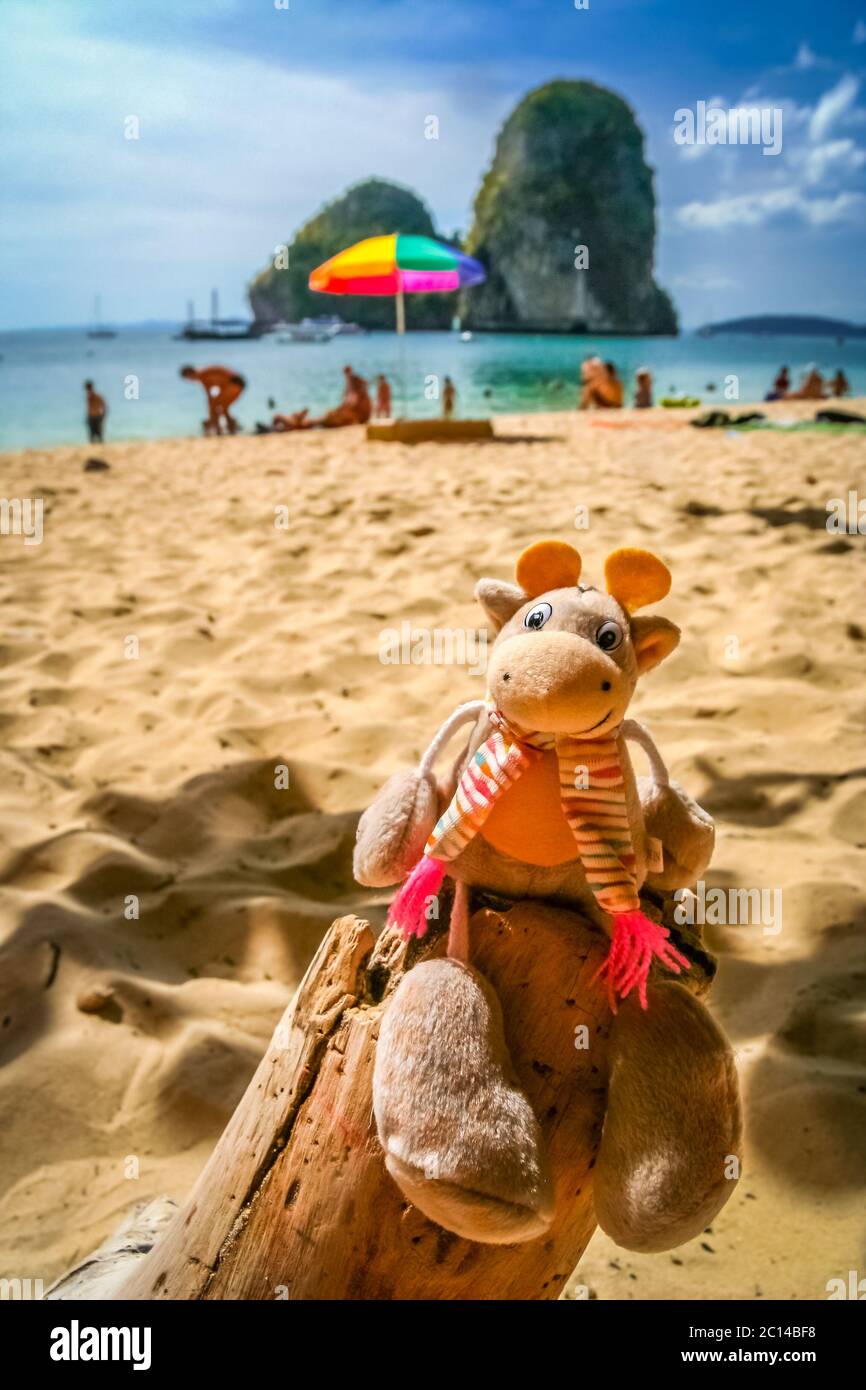 Small mascot resting on the beach Stock Photo - Alamy