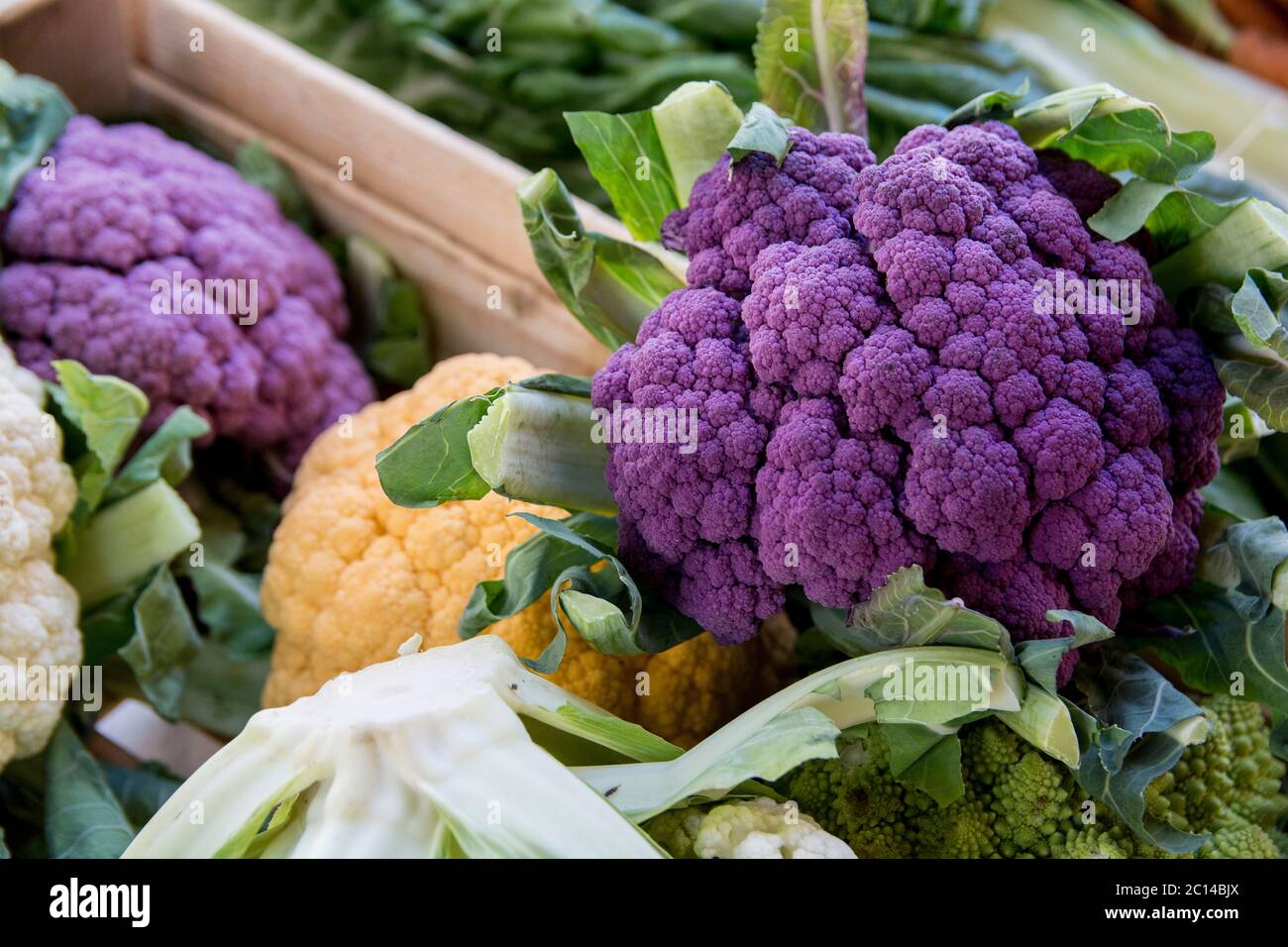Purple Romanesco Broccoli High Resolution Stock Photography and Images ...