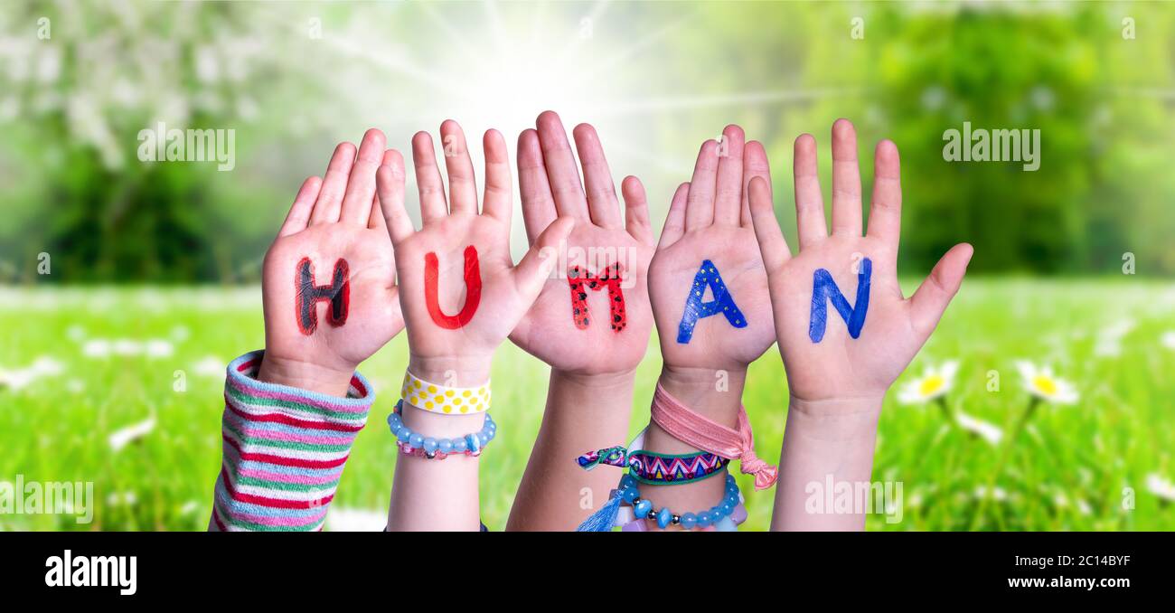 Children Hands Building Word Human, Grass Meadow Stock Photo - Alamy