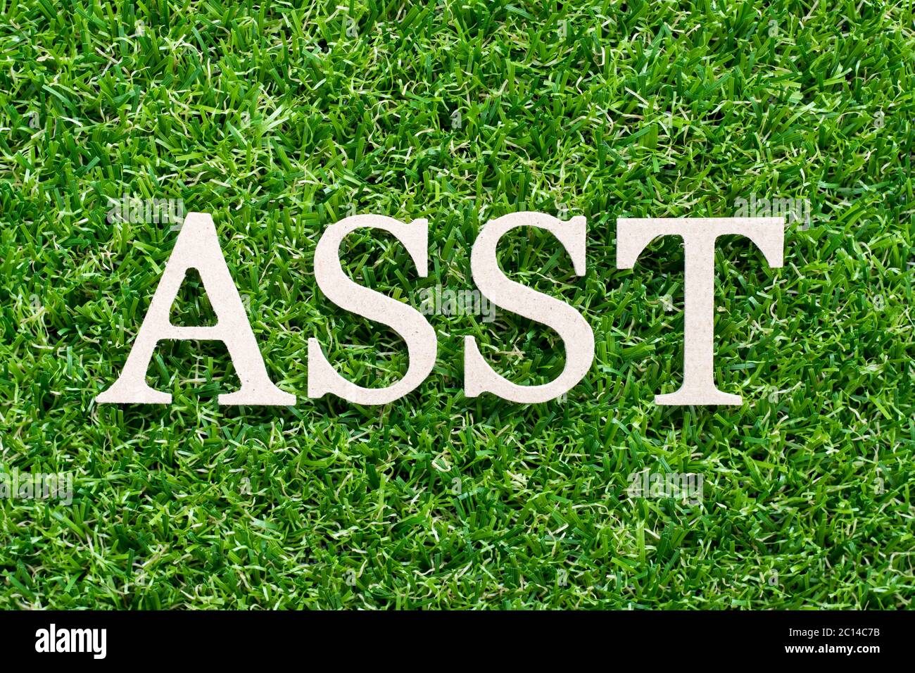 Wood alphabet in word asst (abbreviation of assistant) on artificial ...