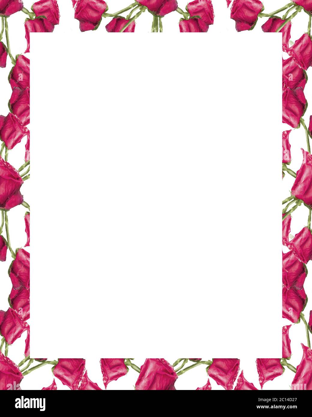 White Frame with Decorated Floral Borders Stock Photo - Alamy White Frame with Decorated Floral Borders Stock Photo - Alamy