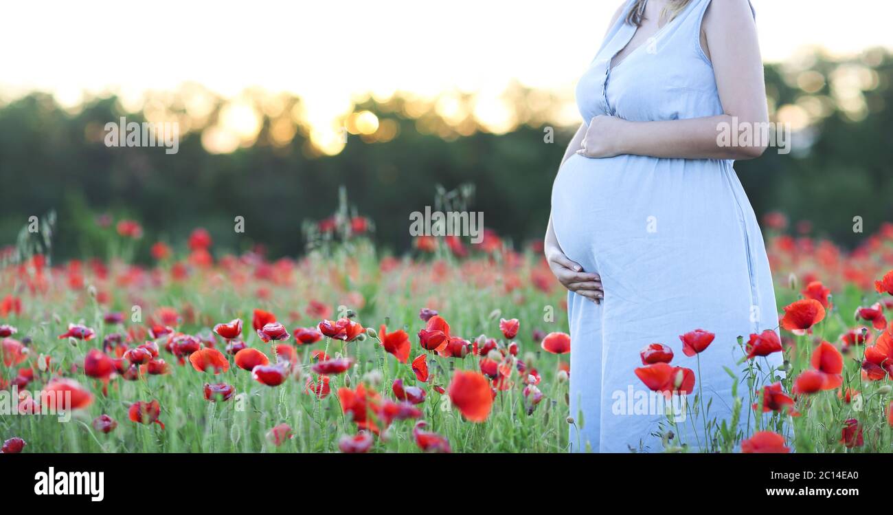 Beautiful pregnant woman relaxing in poppy field Stock Photo - Alamy