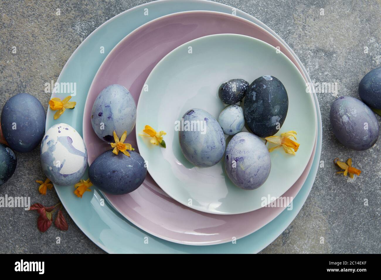 blue easter eggs Stock Photo - Alamy