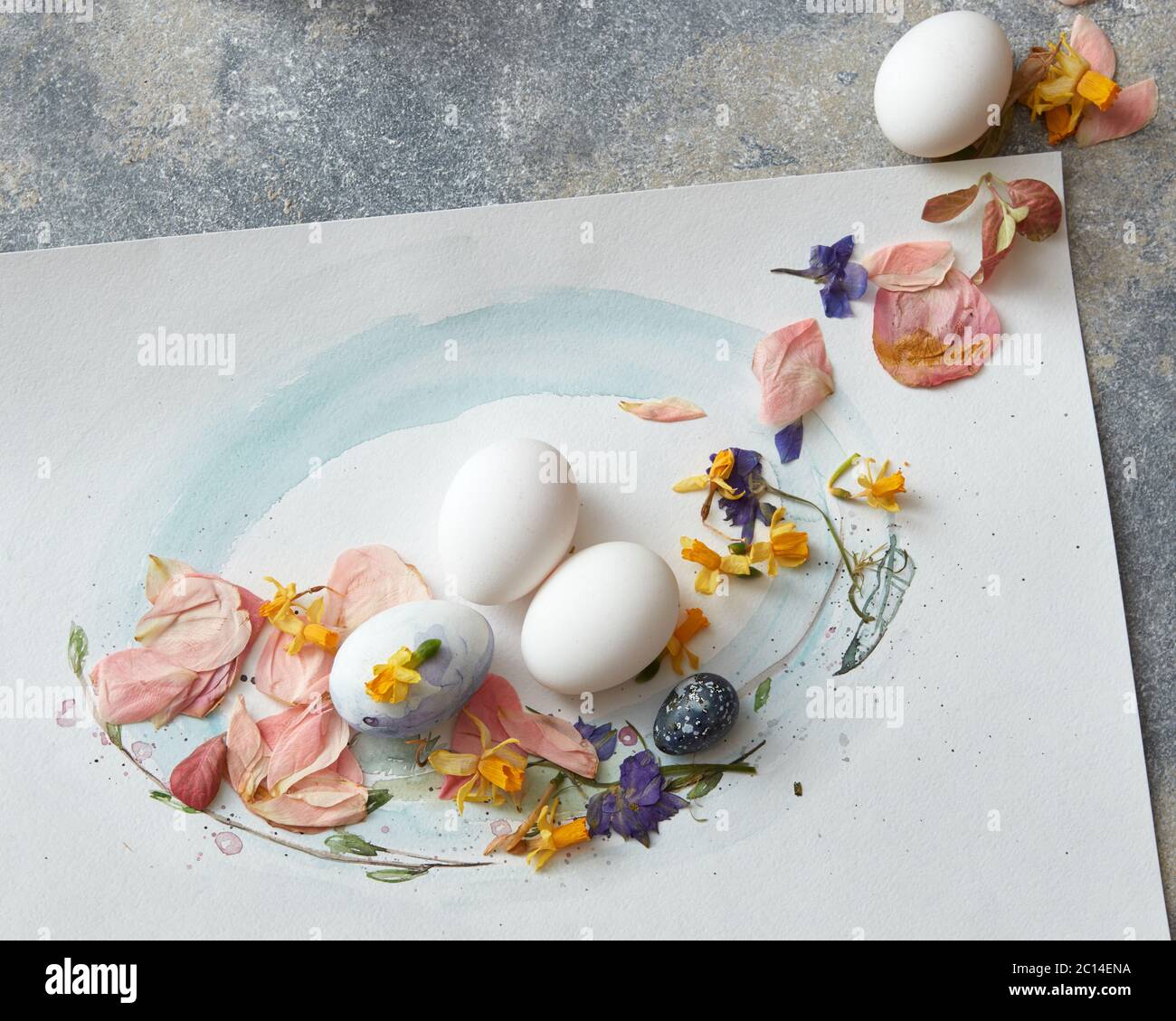 eggs on a paper Stock Photo - Alamy
