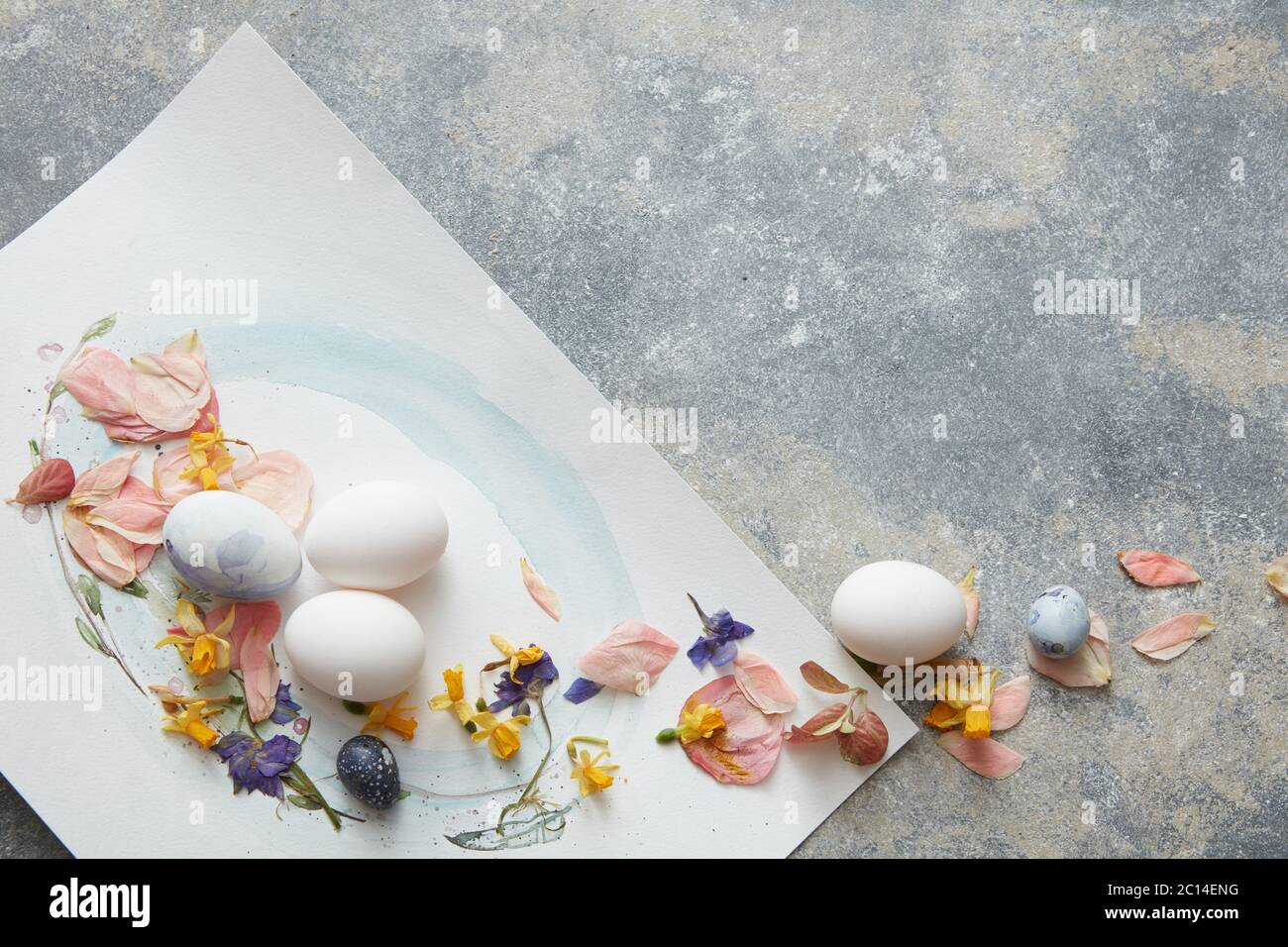 eggs on a paper Stock Photo - Alamy