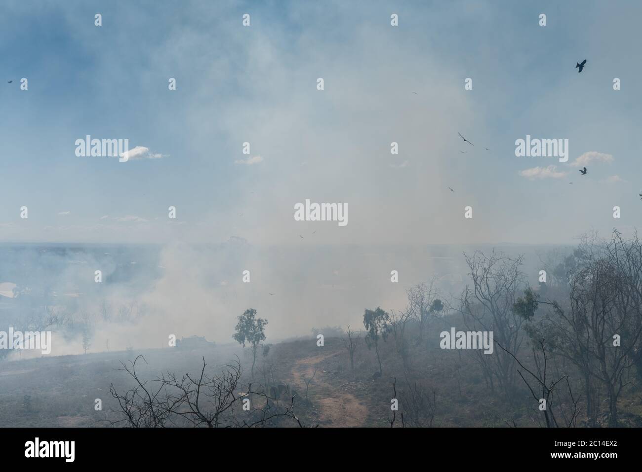Fire brigade performing preventative burn off near country town ...