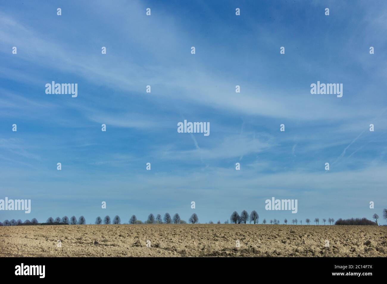 Landscape with sandy field and trees on the horizon. Blue sky with ...