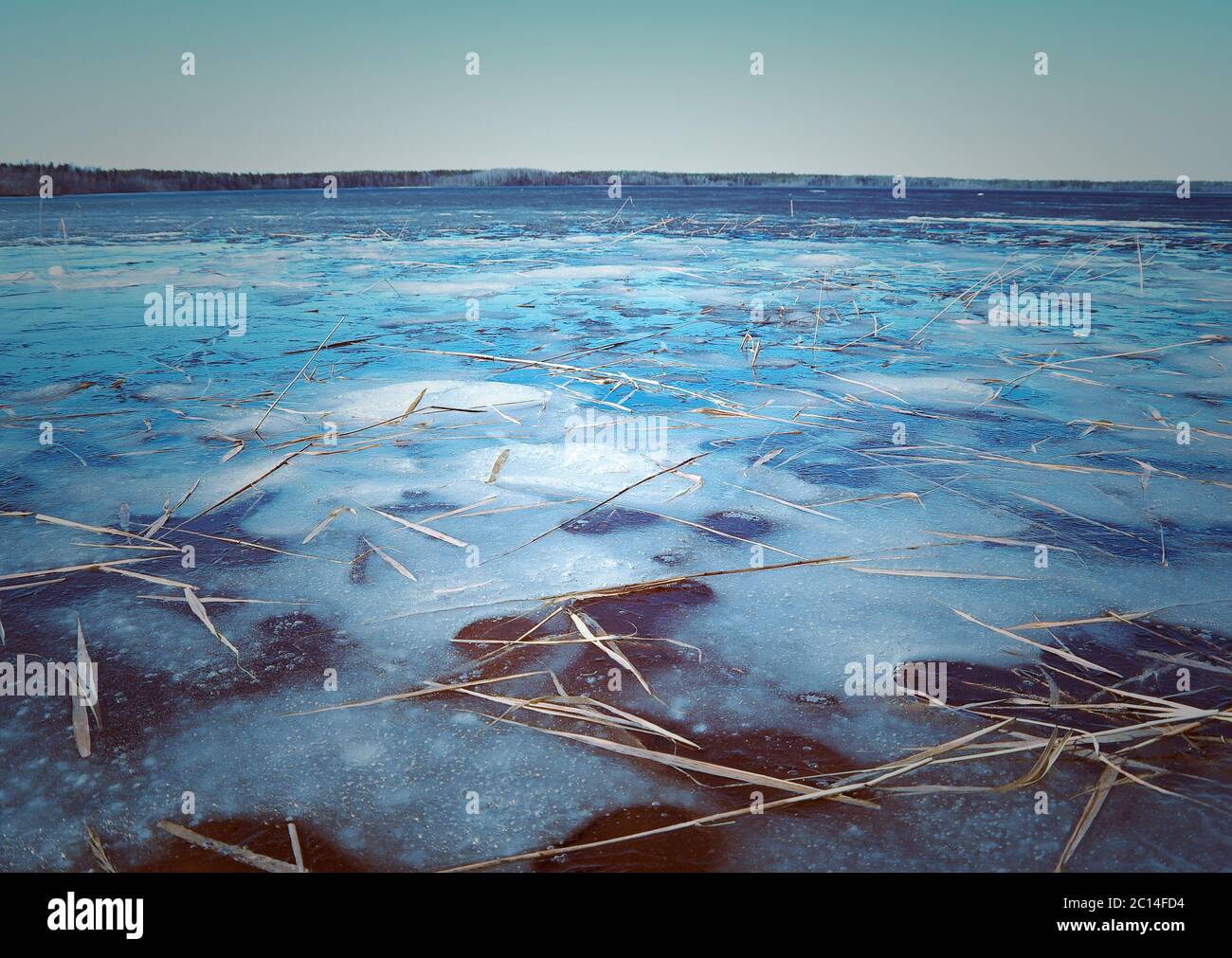 spring flooding on the lake Stock Photo - Alamy