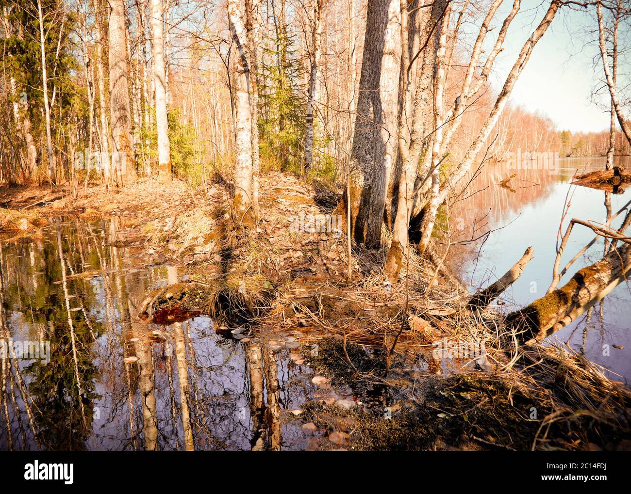 Spring flooding on the river Stock Photo - Alamy