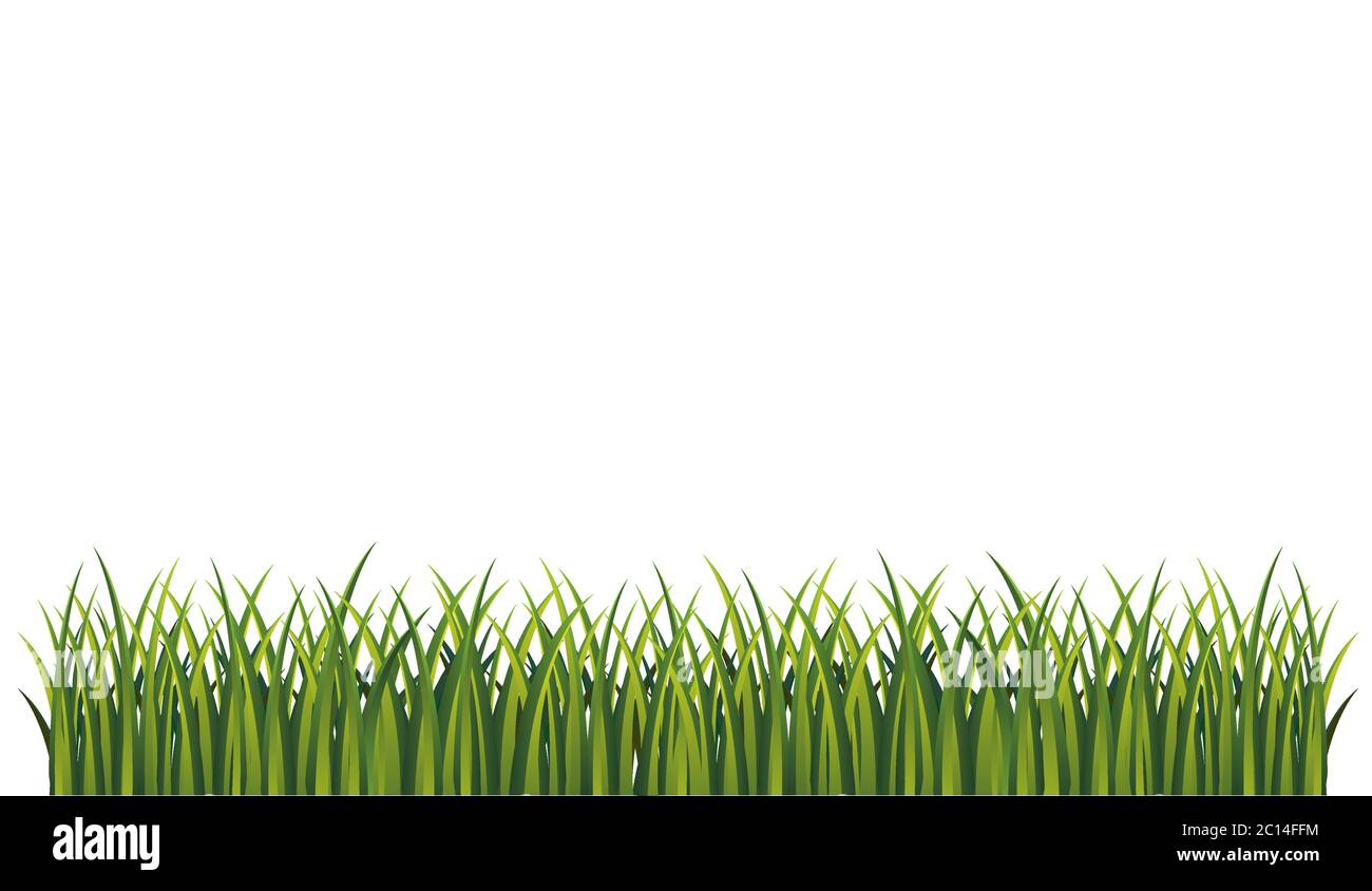 Green grass bottom page panorama frame vector pattern. Fresh summer ...