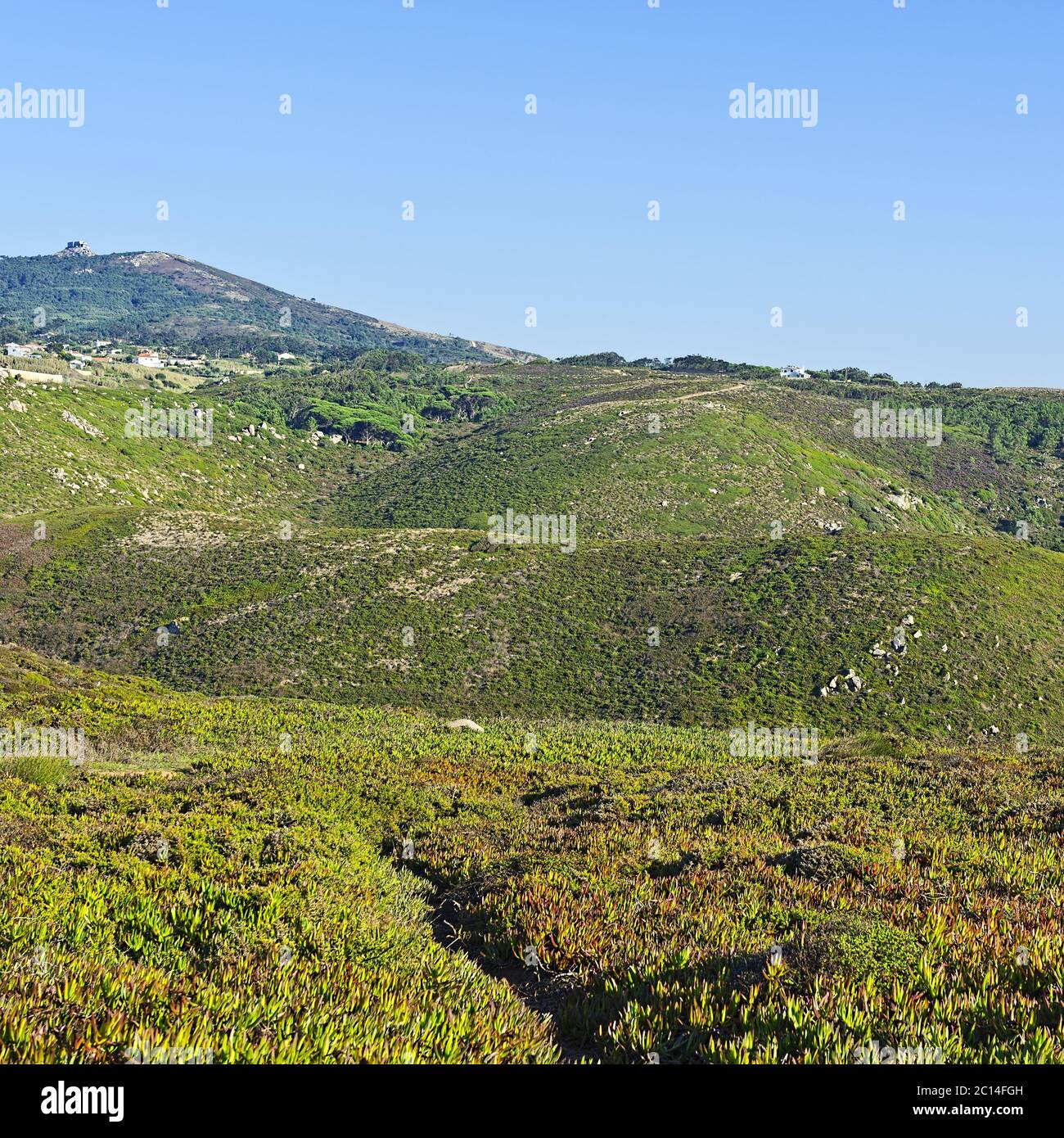 Coastal plateau hi-res stock photography and images - Alamy