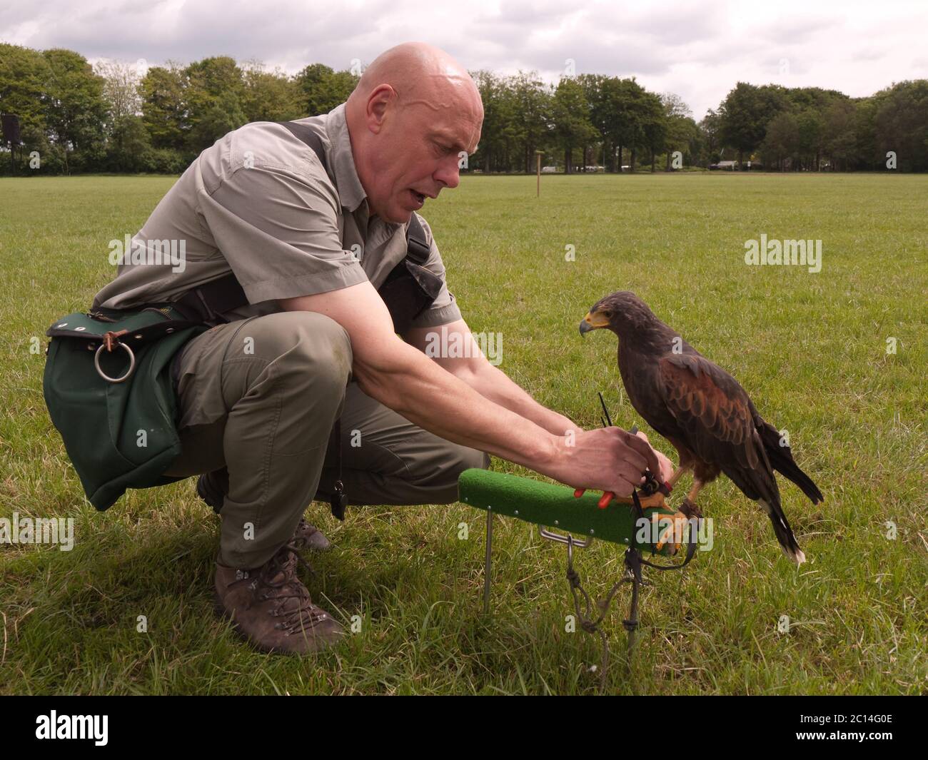 Falconer hawker falconry bird hi-res stock photography and images - Alamy