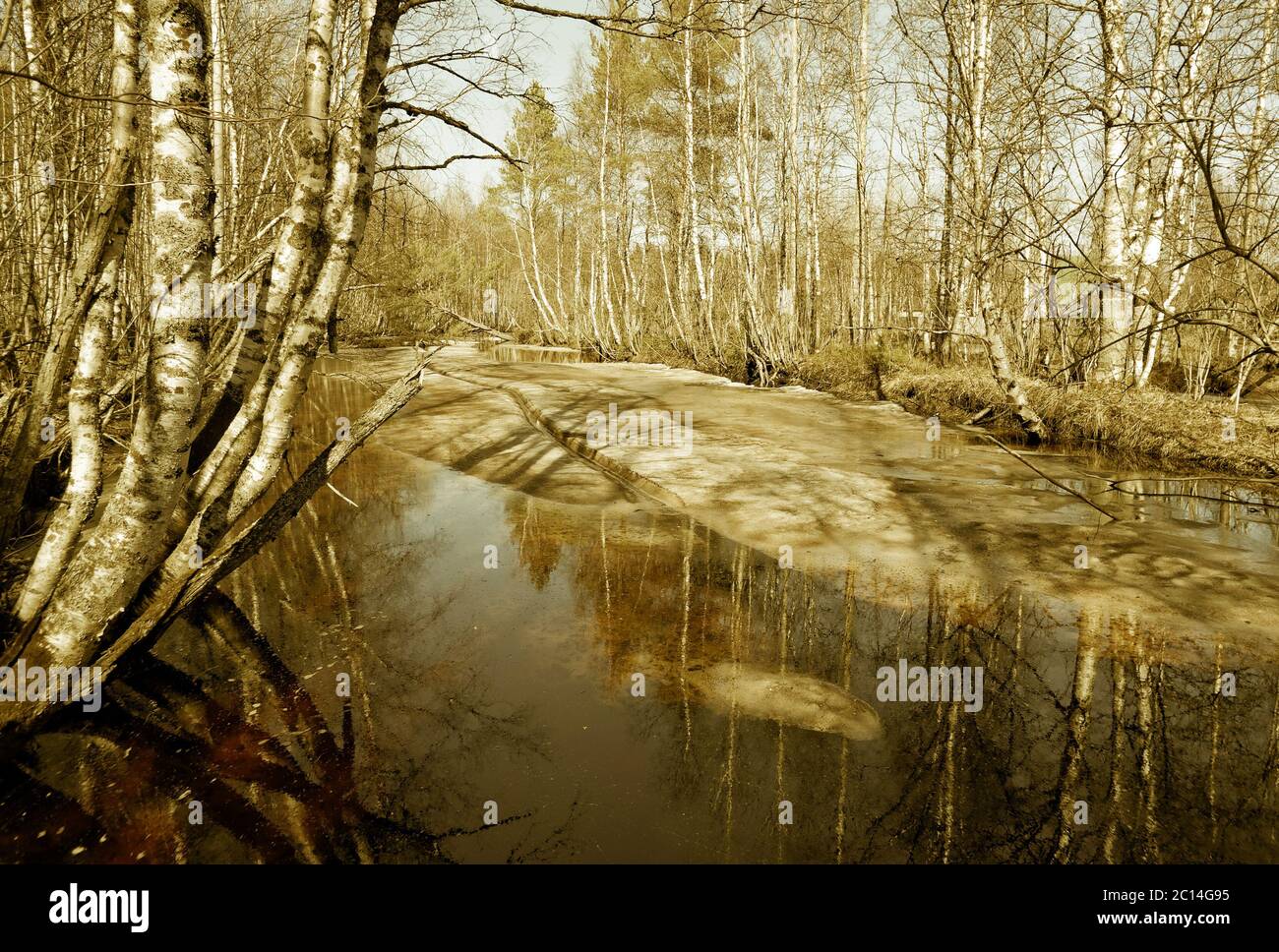 Russian forest hi-res stock photography and images - Alamy