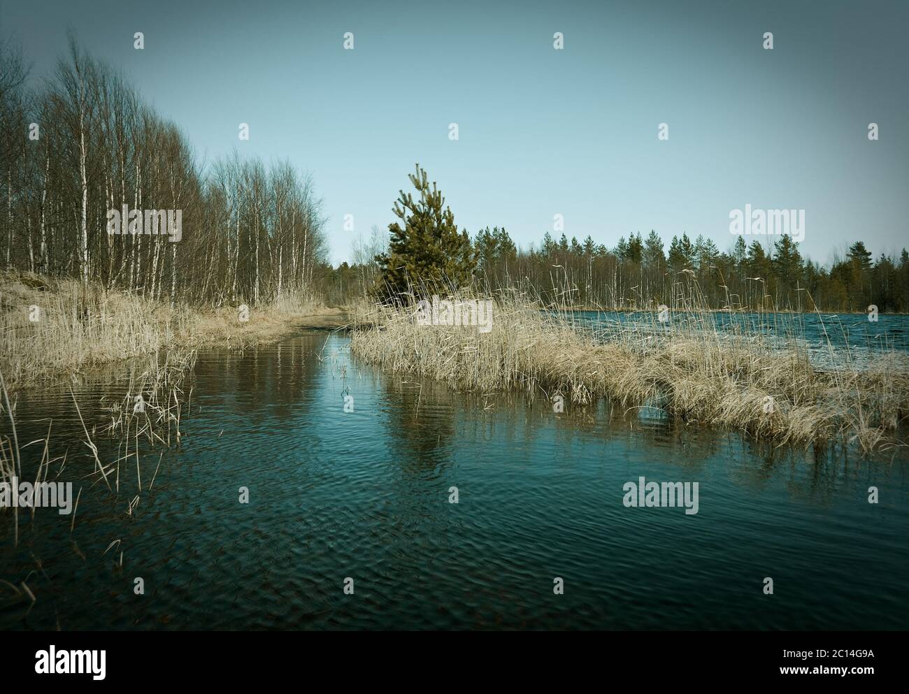 Spring flooding on the lake Stock Photo - Alamy