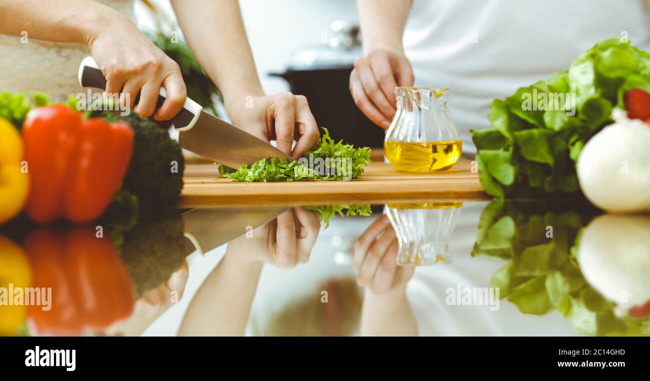 Closeup of human hands cooking in kitchen. Mother and daughter or two ...