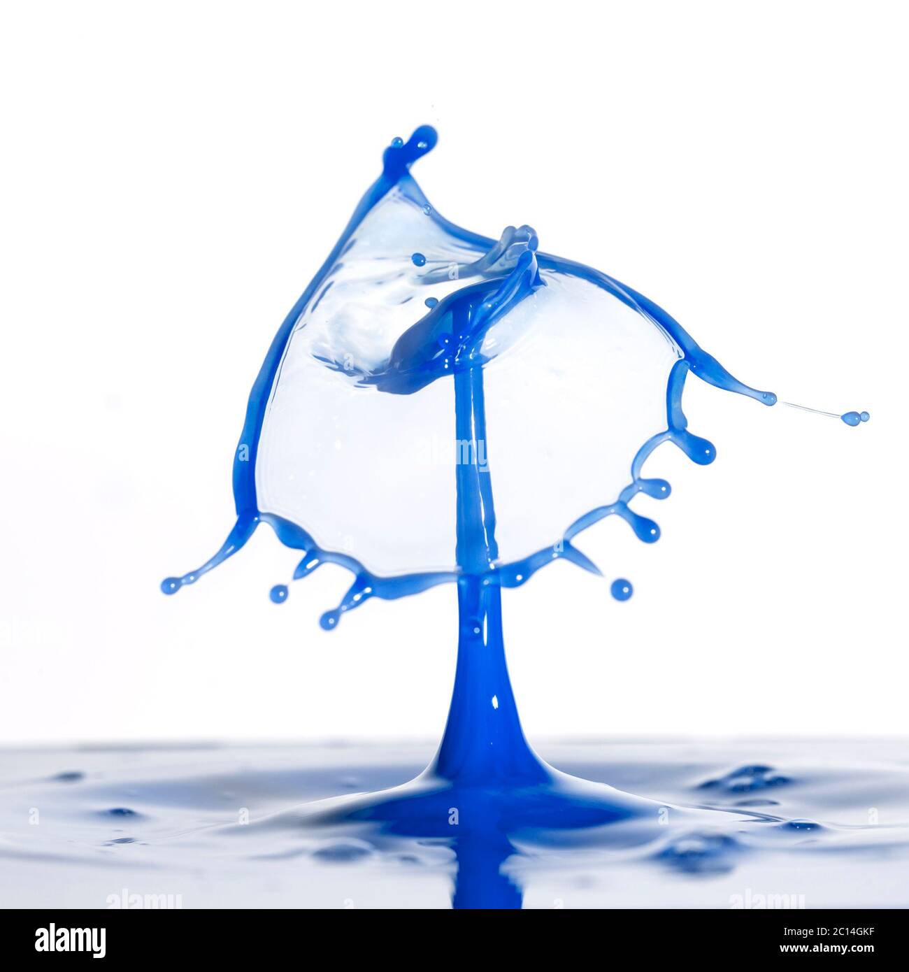 Stunning unique abstract water splash photography images with vibrant ...