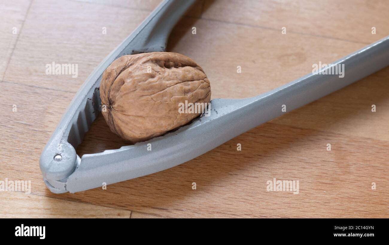 Modern steel nutcracker isolated on white Stock Photo - Alamy