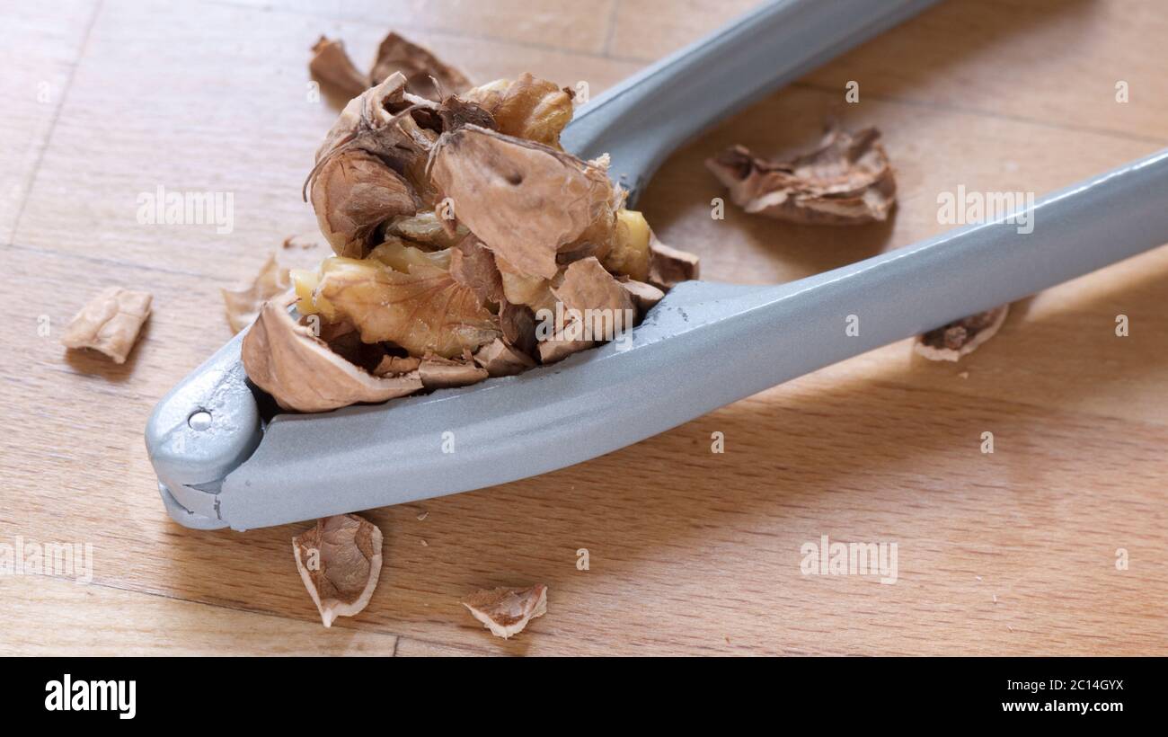 Modern nutcracker with a cracked nut clamped on a wooden table Stock ...