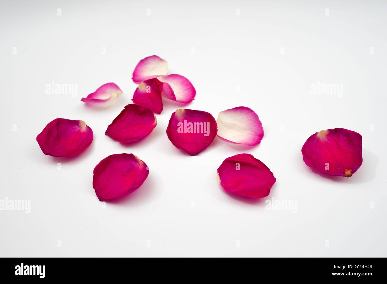 Romantic Rose Pedals High Resolution Stock Photography and Images - Alamy