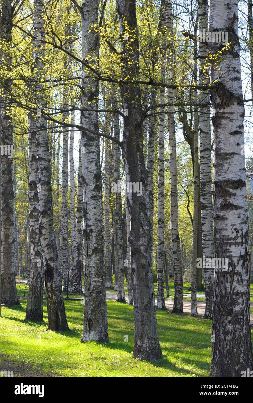 Park at spring Stock Photo - Alamy