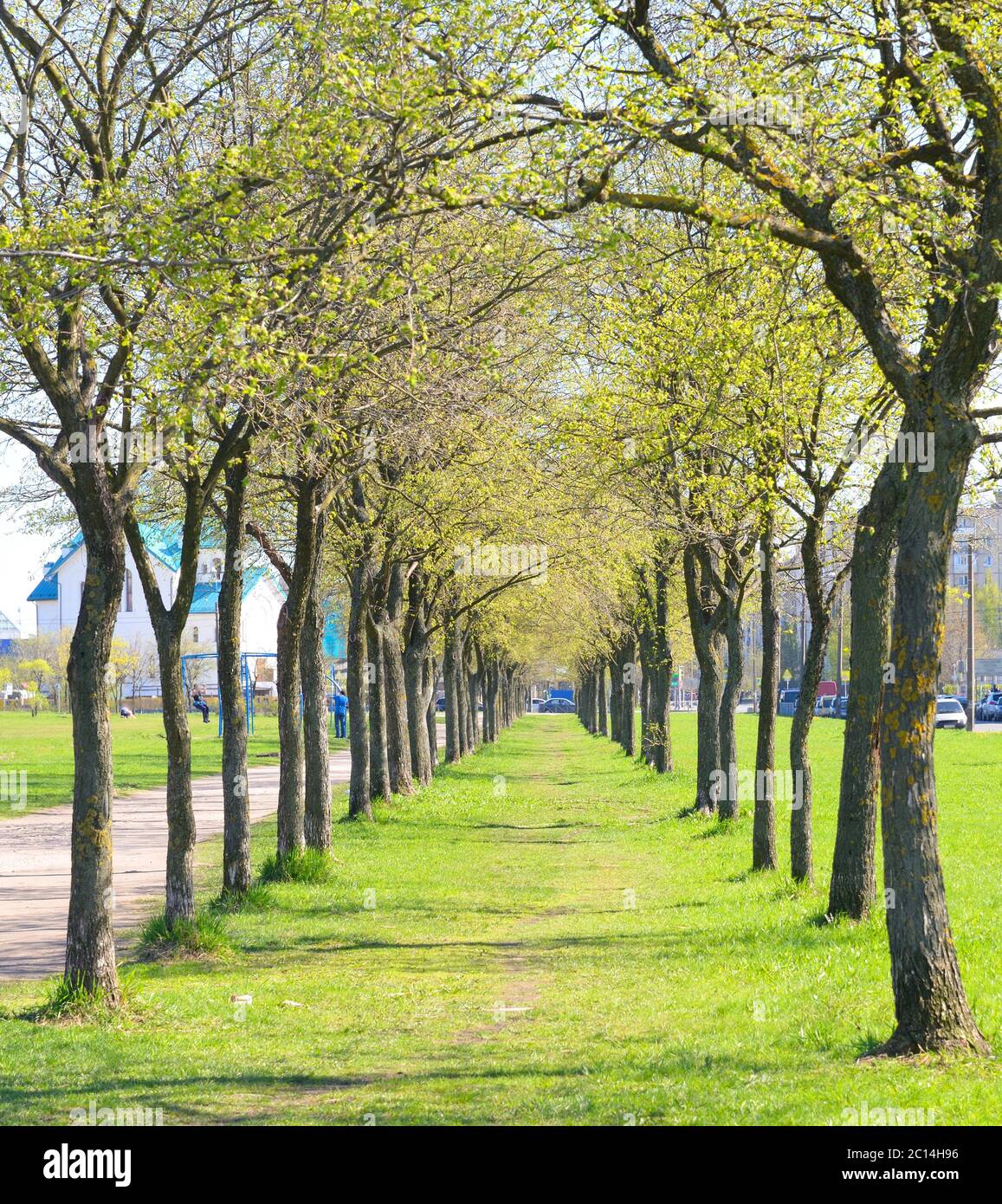 Park at spring Stock Photo - Alamy