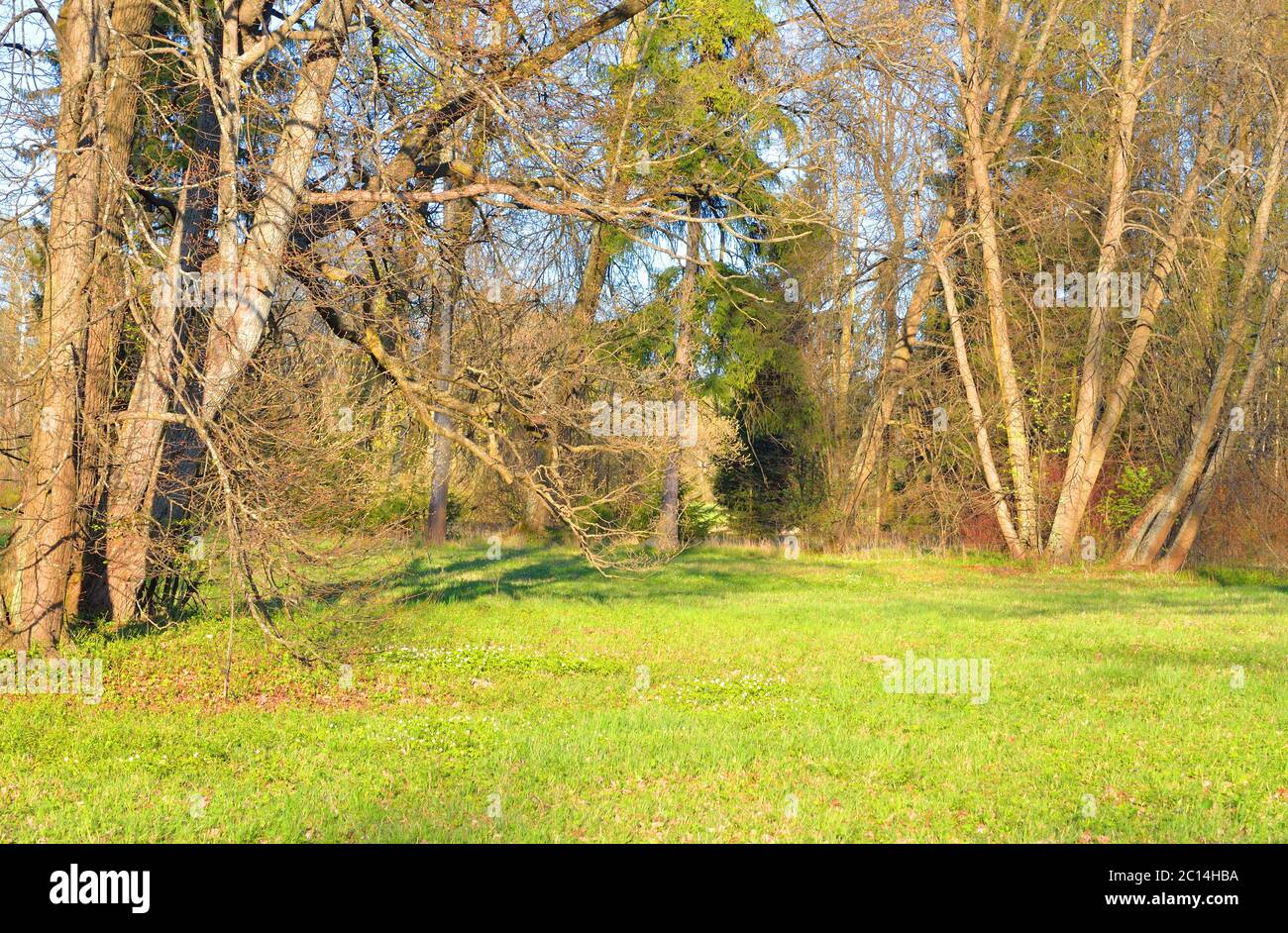 Park at spring Stock Photo - Alamy
