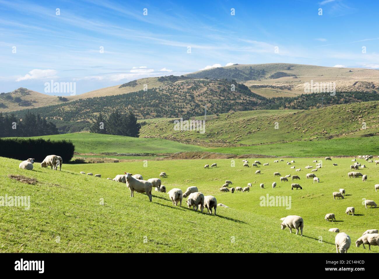 Beautiful pasture hi-res stock photography and images - Alamy