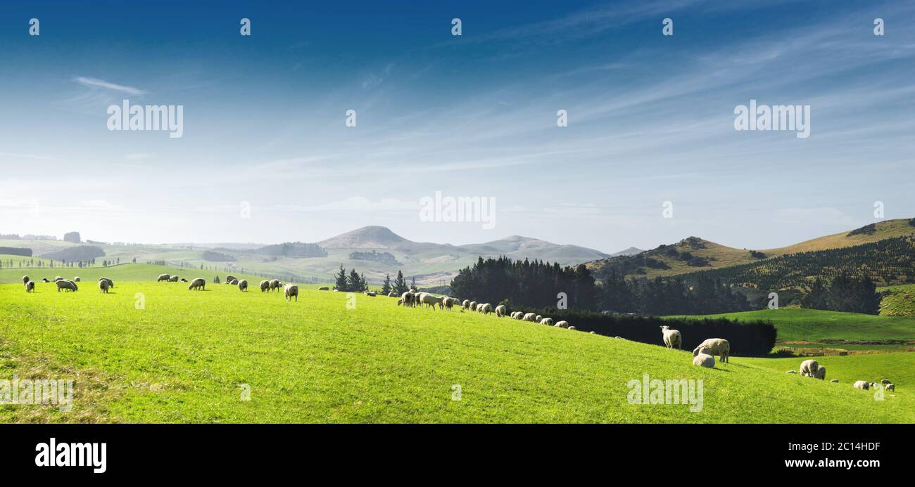 Pasture for animals hi-res stock photography and images - Alamy